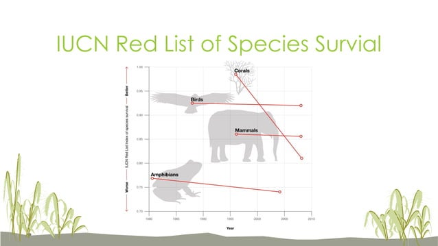 Global Amphibian Declines and Chytridiomycosis | PPT