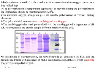 Global analysis of protein by kk sahu sir | PPTX