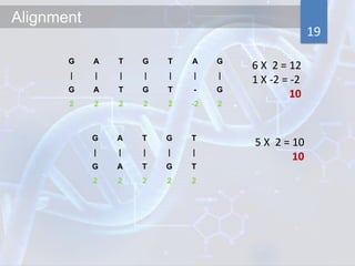 Global and local alignment in Bioinformatics | PPTX