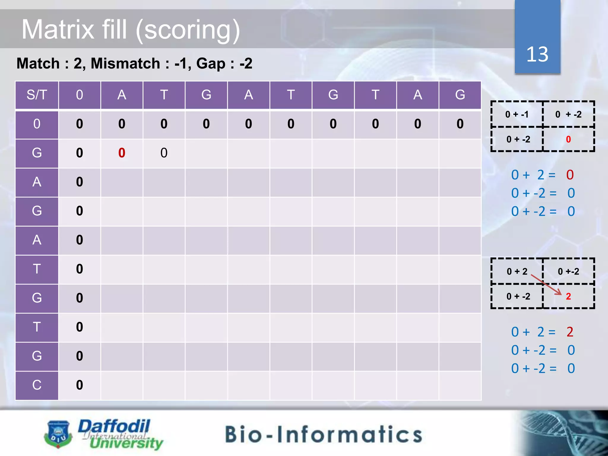 Global and local alignment (bioinformatics) | PPTX