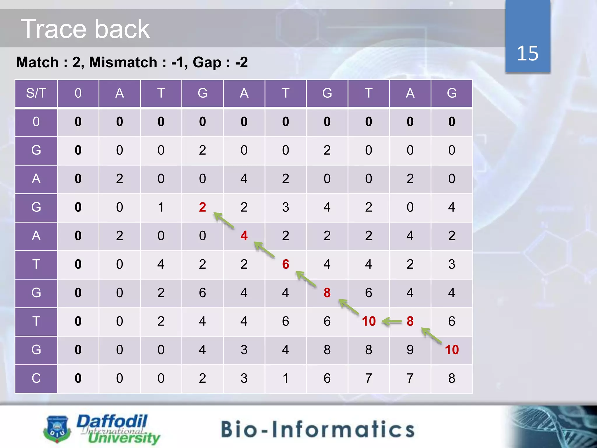 Global And Local Alignment Bioinformatics Ppt