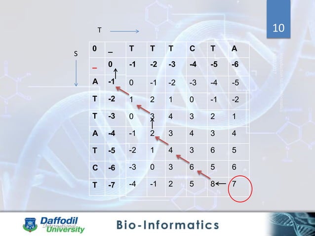Global and local alignment (bioinformatics) | PPTX