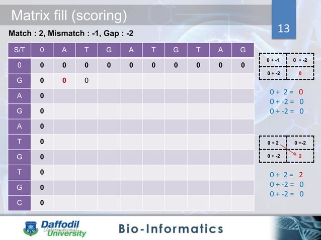 Global and local alignment (bioinformatics) | PPTX