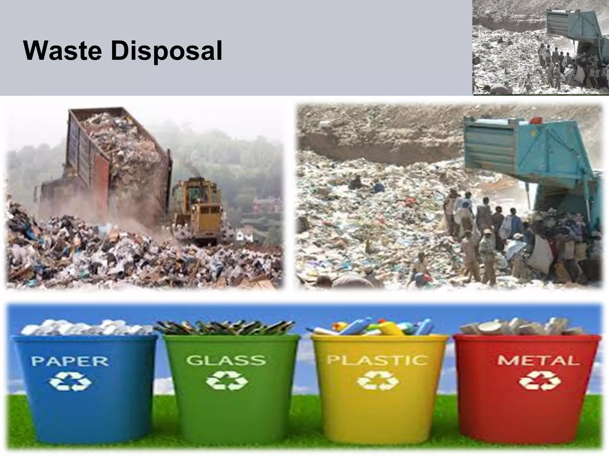 Global and local environmental problems | PPT