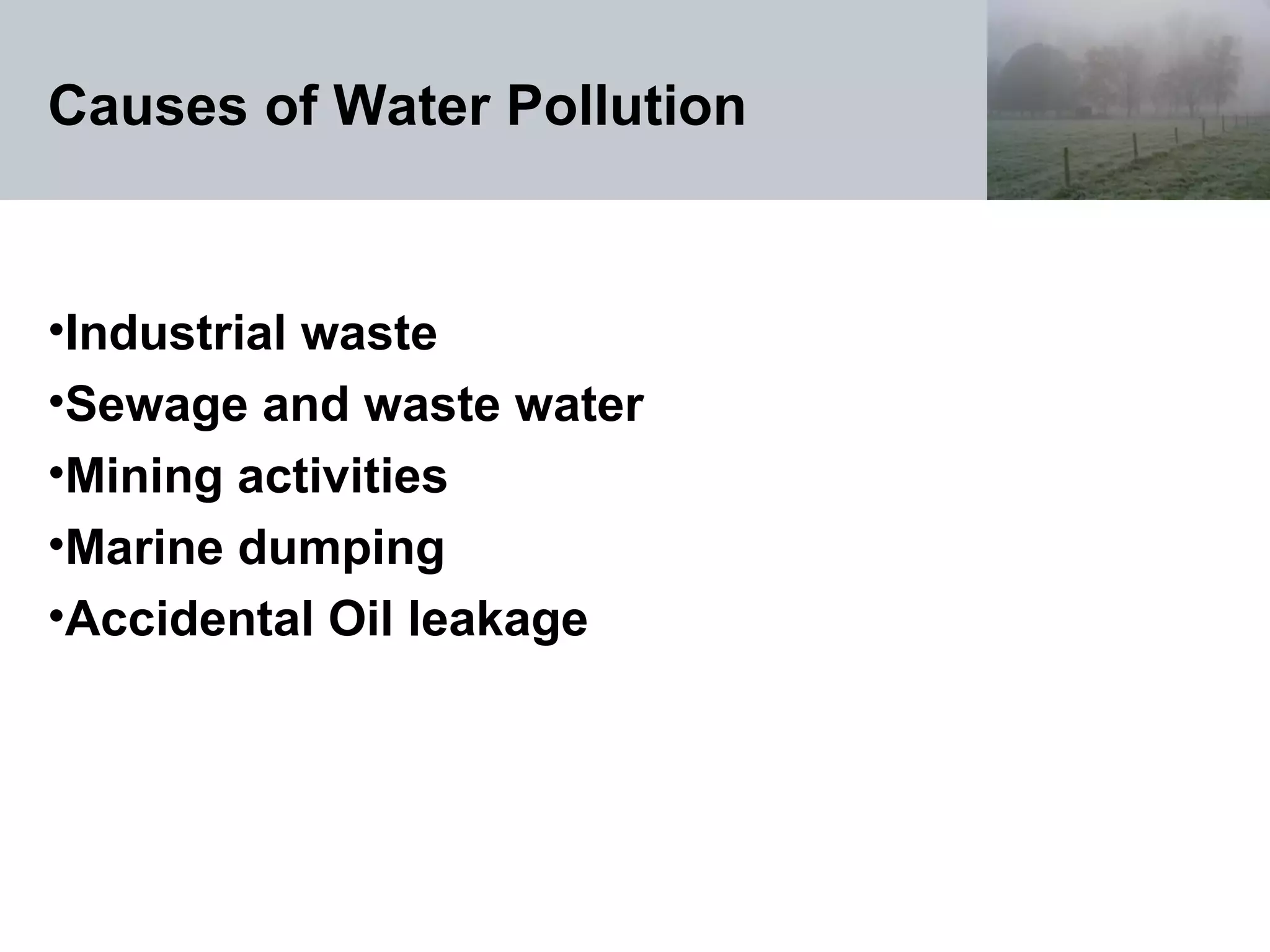 Global and local environmental problems | PPT
