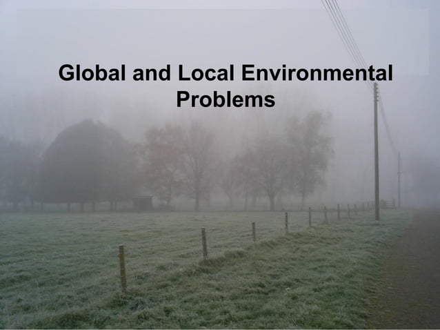 Global and local environmental problems | PPT