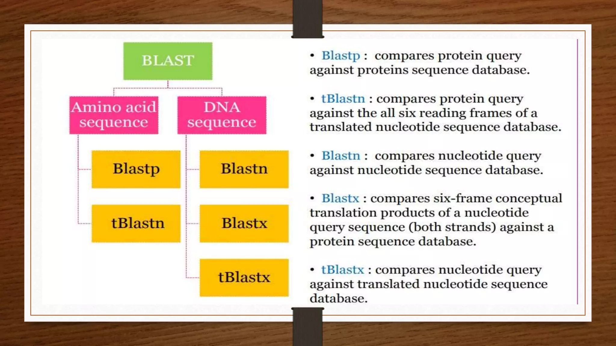 Global and Local Sequence Alignment | PPTX