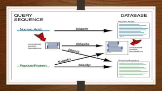 Global and Local Sequence Alignment | PPTX