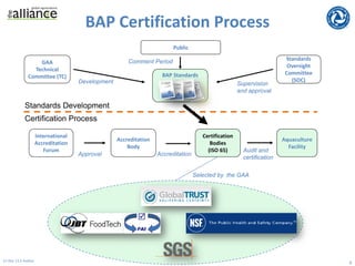 GAA - BAP (En) | PDF