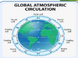 Understanding Global Atmospheric Circulation and Its Impact on Weather ...