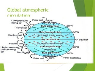 Understanding Global Atmospheric Circulation and Its Impact on Weather ...