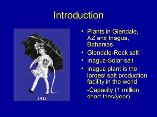 Morton Salt Global Business Presentation | PPT