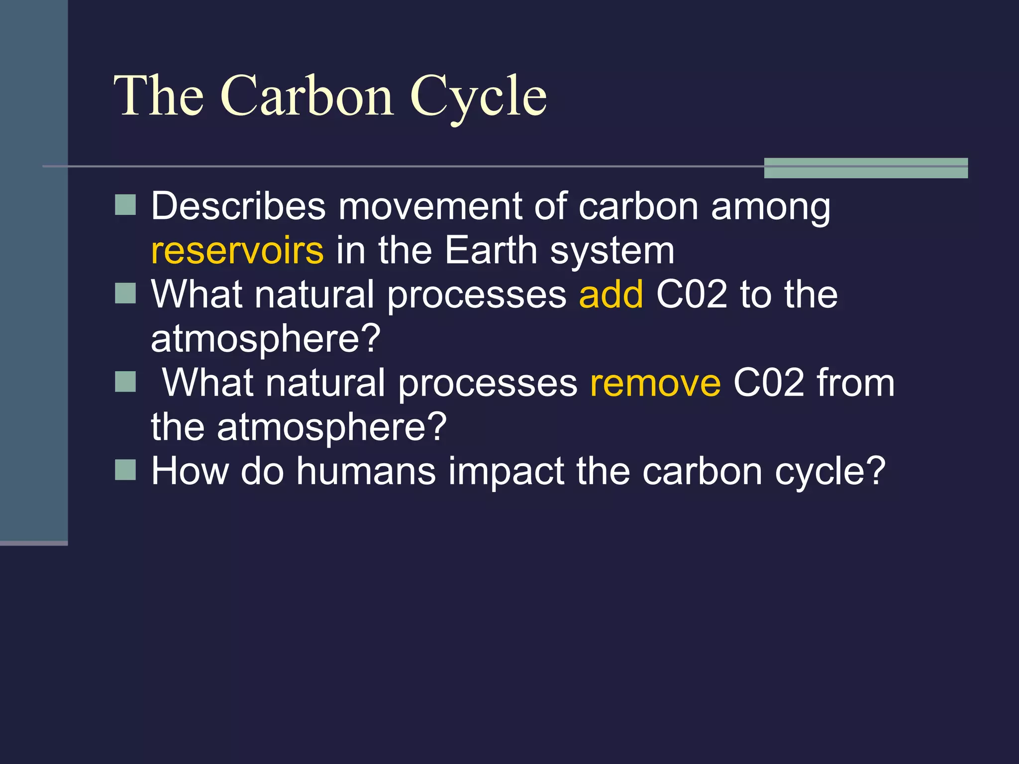 Global Carbon Cycle | PPT