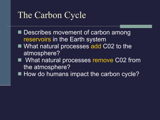 Global Carbon Cycle | PPT