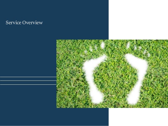 Global Carbon Footprint Management Market Analysis By Size, Share ...
