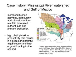 Global change and eutrophication | PPT