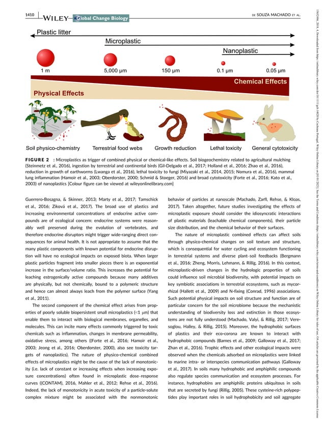 Microplastics As An Emerging Threat To Terrestrial Ecosystems Pdf