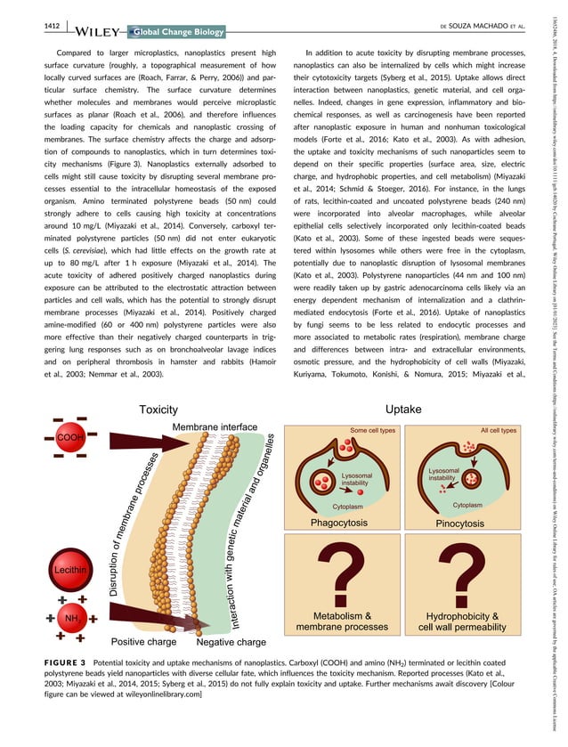 Microplastics As An Emerging Threat To Terrestrial Ecosystems Pdf