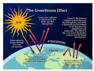 Global Change: Greenhouse Gases Global Change: Greenhouse Gases | PPT