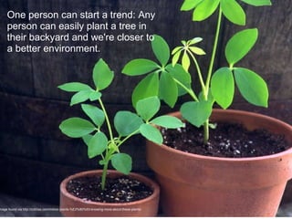 Global climate change | PPT | Indoor Environmental Quality | Home & Garden