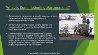 Global Commissioning Management and Validation Services | PDF ...