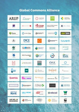 Global Commons Alliance: Survey | PDF