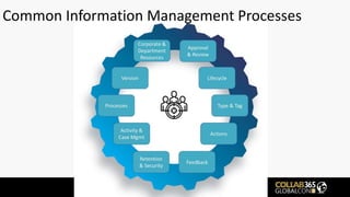 The art of information architecture in Office 365 | PPTX