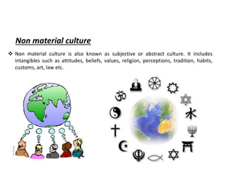 Non Material Culture
