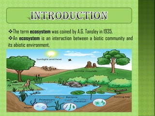 Global ecology | PDF