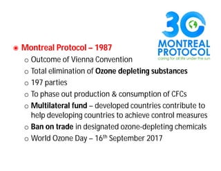 Global Environmental Conventions | PDF