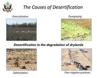 Global Environmental Issues | PPT