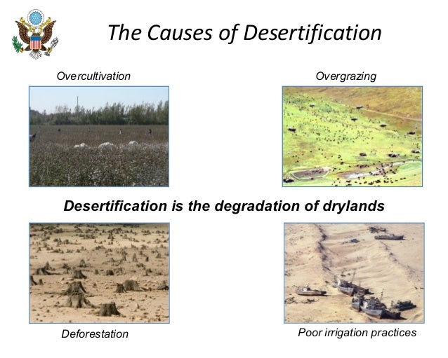Desertification Examples