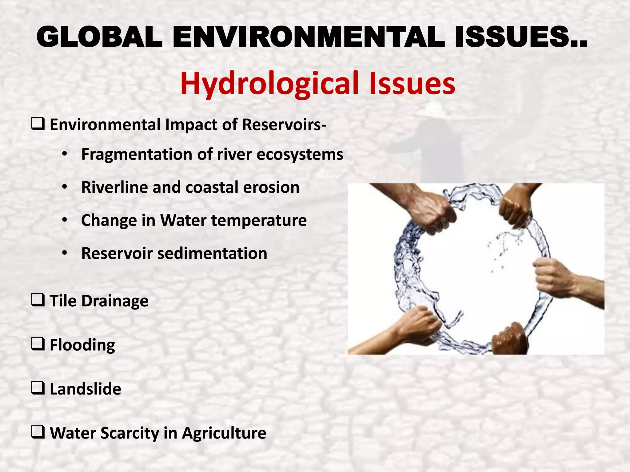 Global environmental issues | PPTX