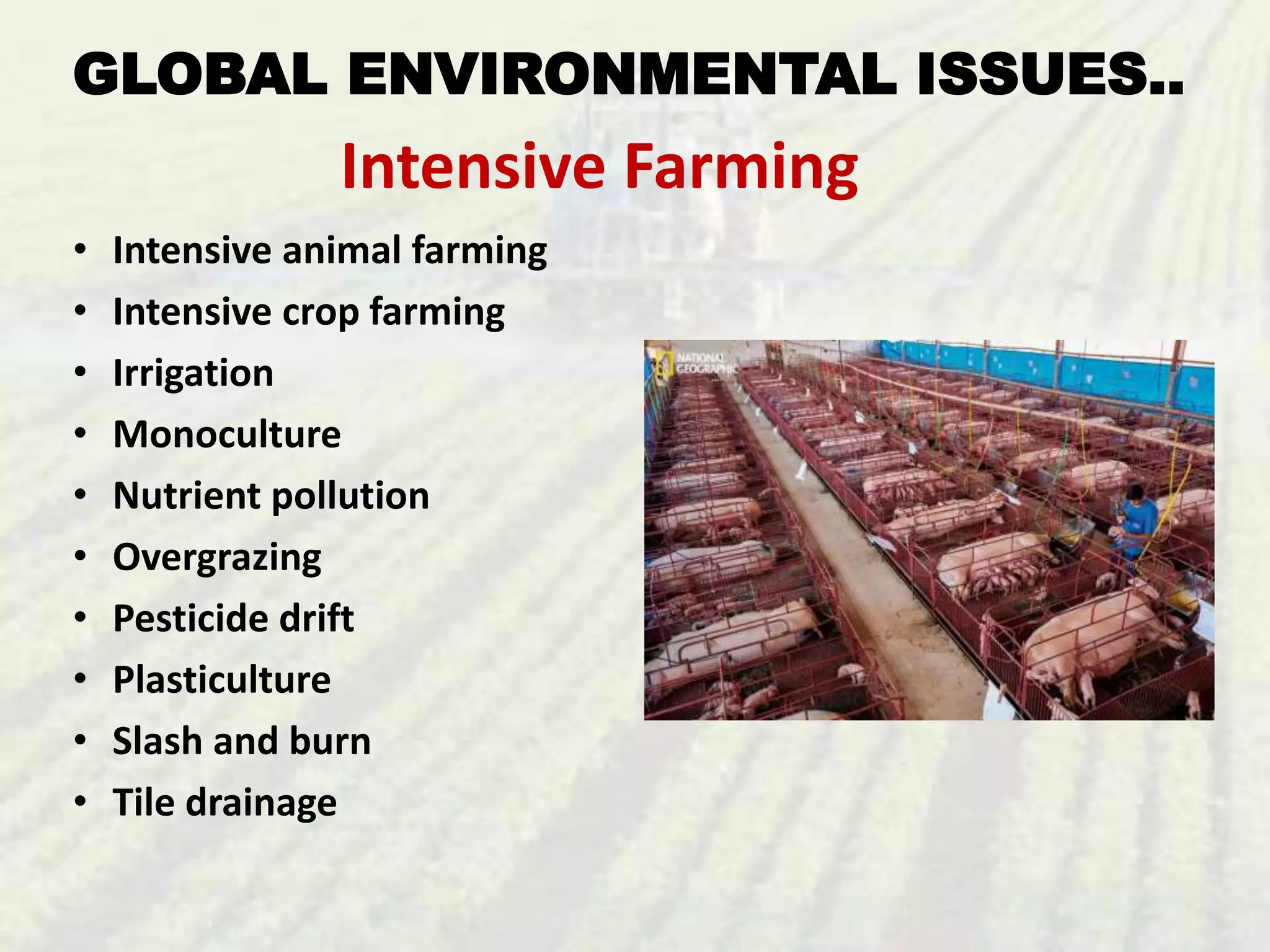 Global environmental issues | PPTX