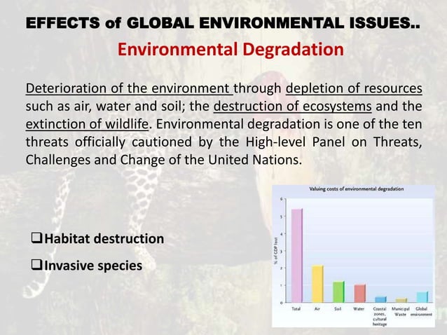 Global environmental issues | PPTX