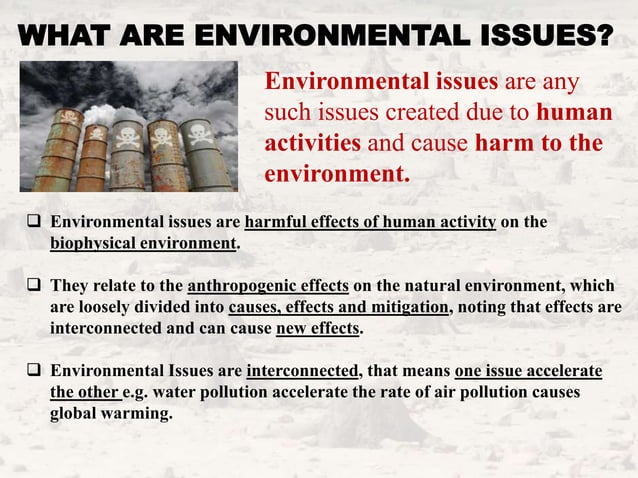 Global environmental issues | PPTX