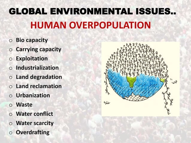 Global environmental issues | PPTX