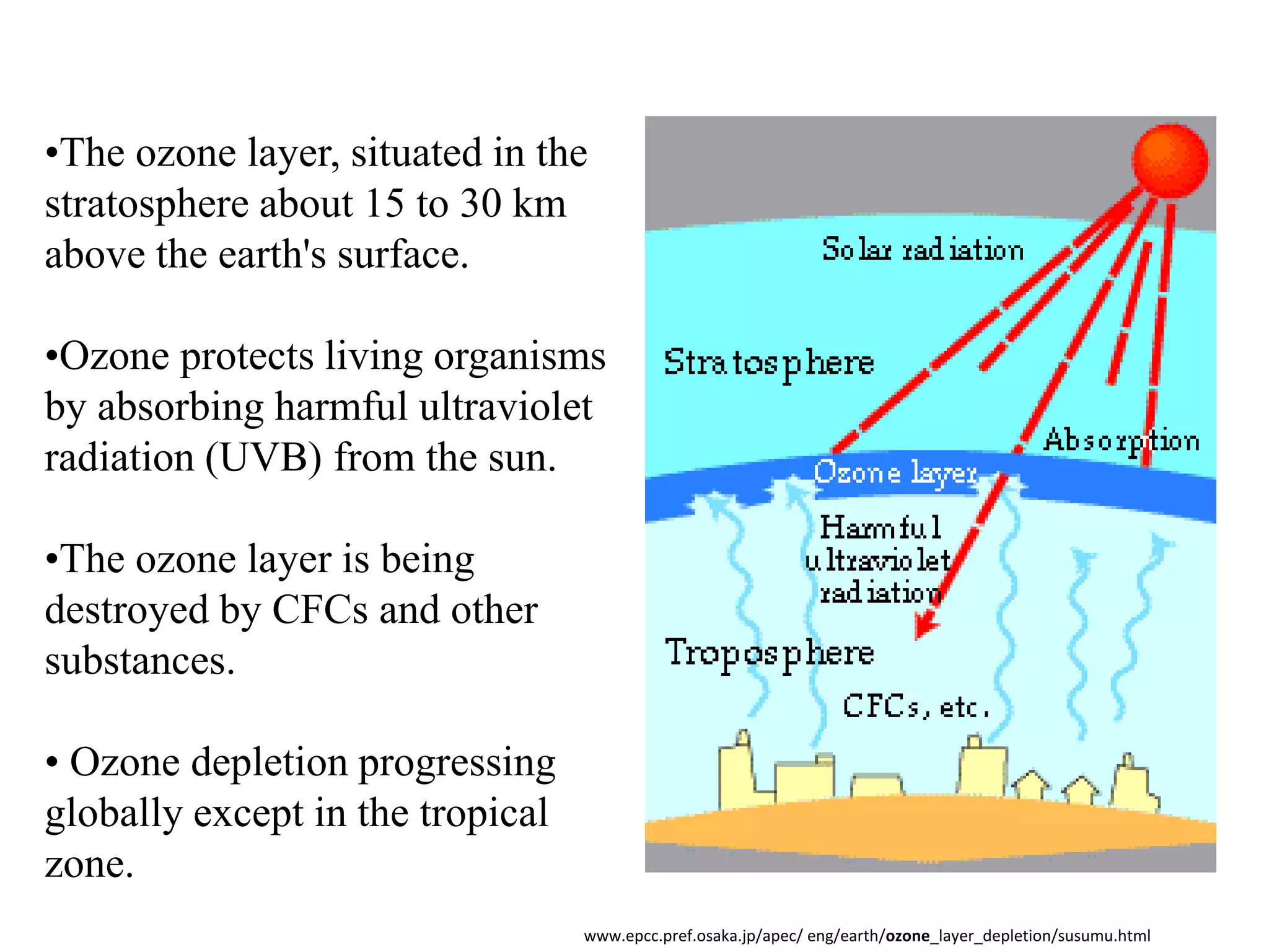 Global environmental issues | PPTX