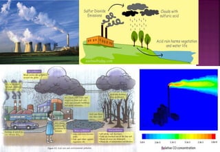 Global environmental issuses | PPTX