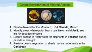 Global Environmental Mindfulness Experience | PPTX | Brain and Nervous ...