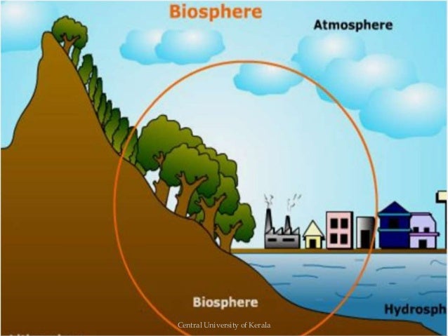Global environmental segments and its structures