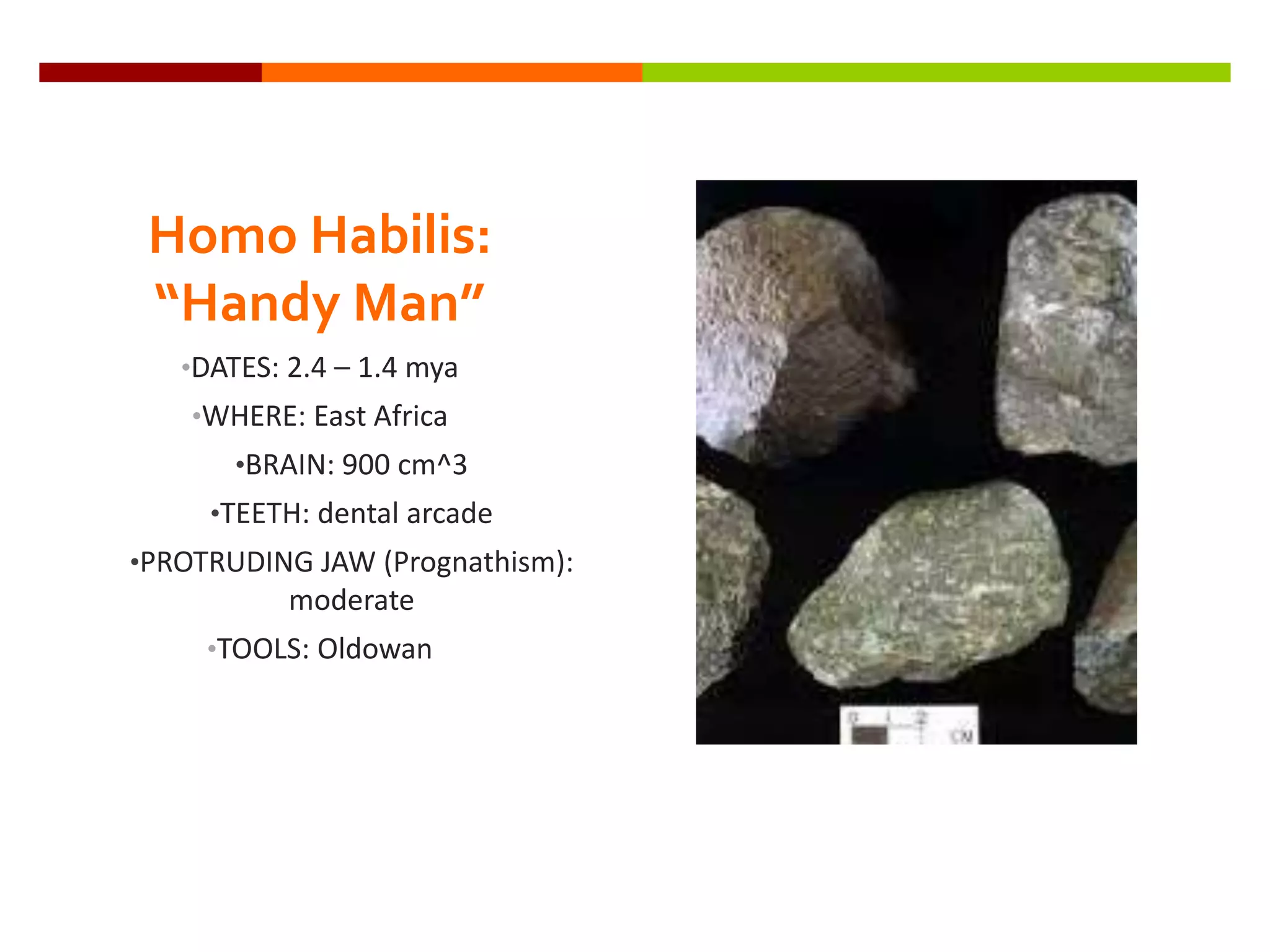 Global Expansion of Homo and Their Technology | PPTX