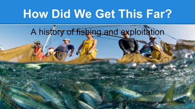 Global fish stocks presentation | PPTX