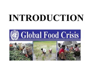 Global food crisis | PPTX