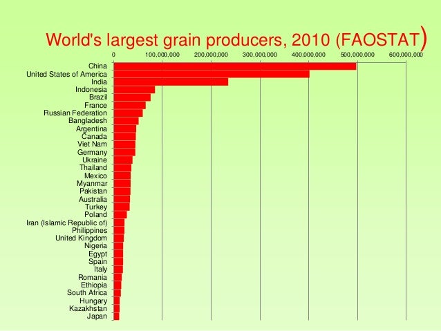 World Hunger And Food Security world-hunger-and-food-security