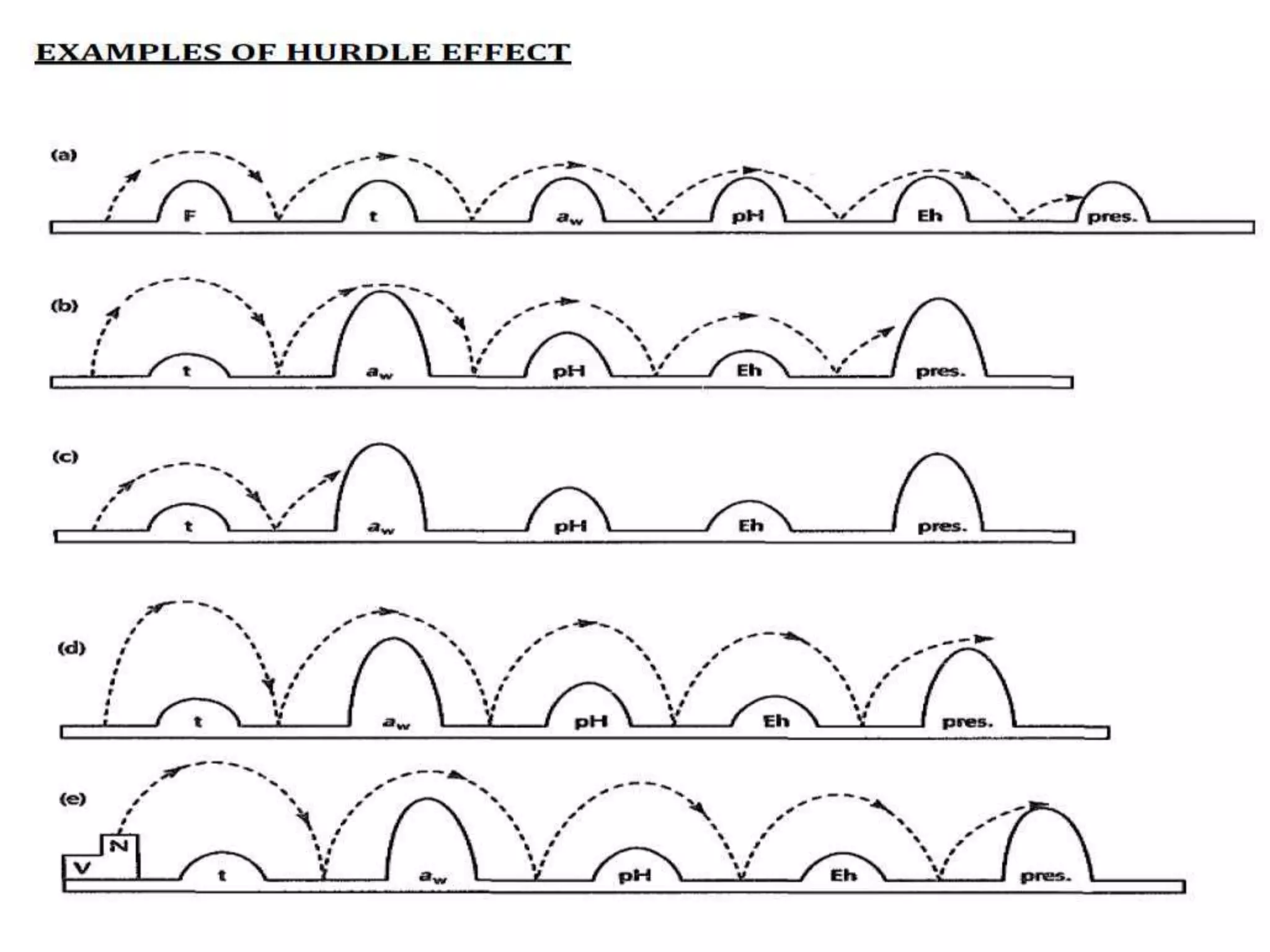 Global food security | PPTX