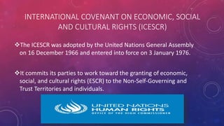 Global health practical | PPT