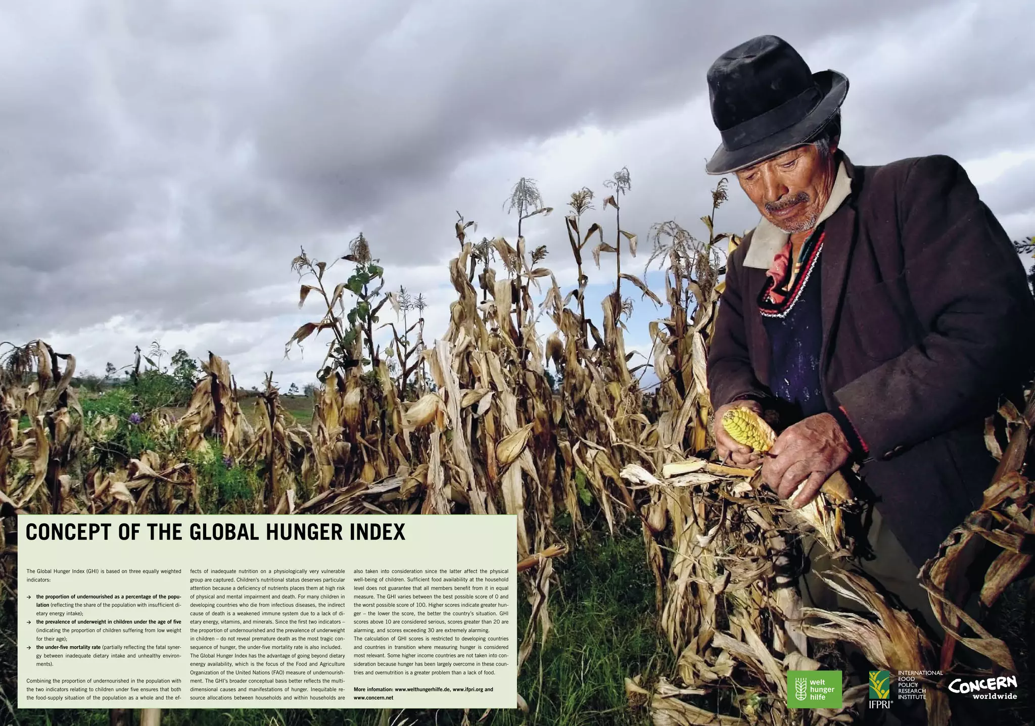 Global Hunger Chart | PDF