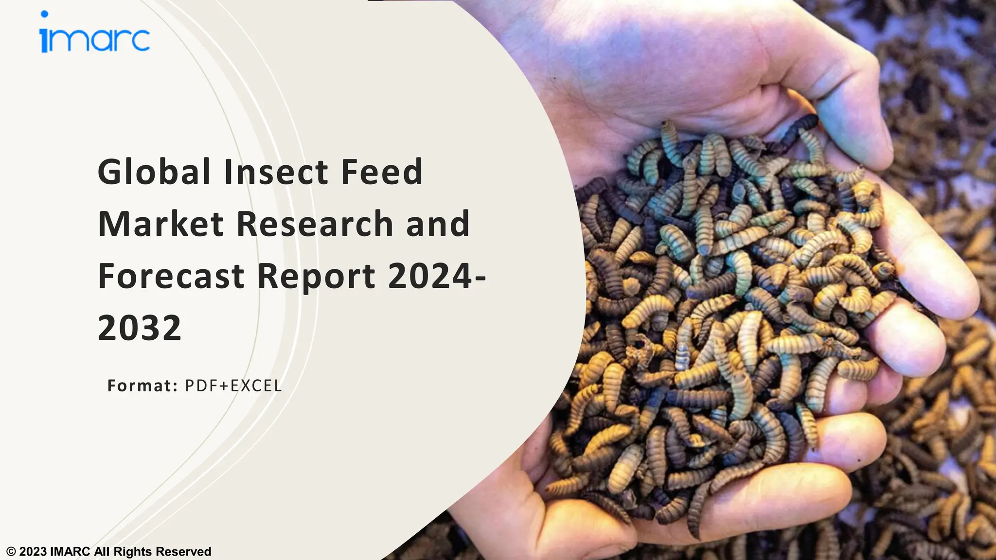 Insect Feed Market PPT: Growth, Outlook, Demand, Keyplayer Analysis and ...
