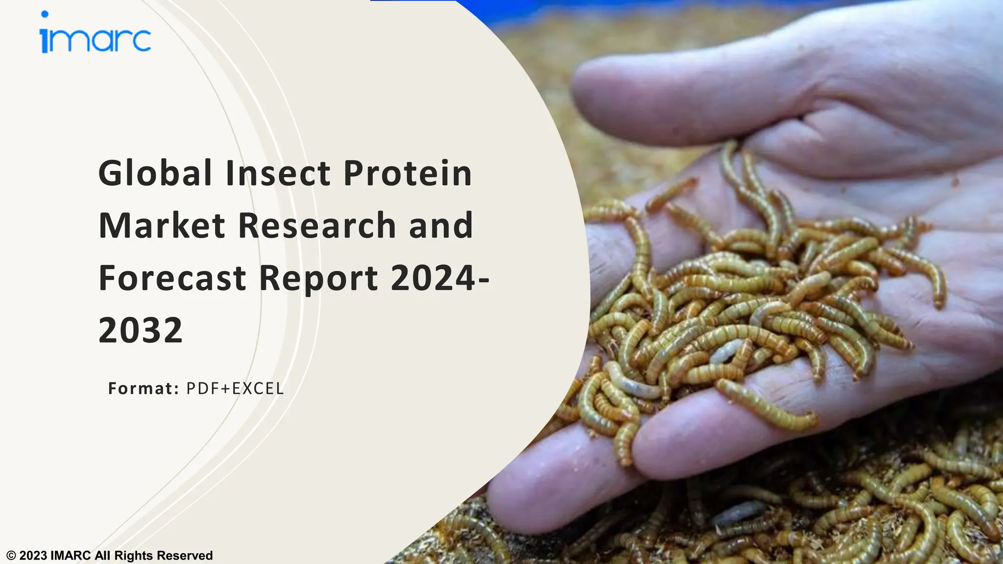 Insect Protein Market PPT: Growth, Outlook, Demand, Keyplayer Analysis ...